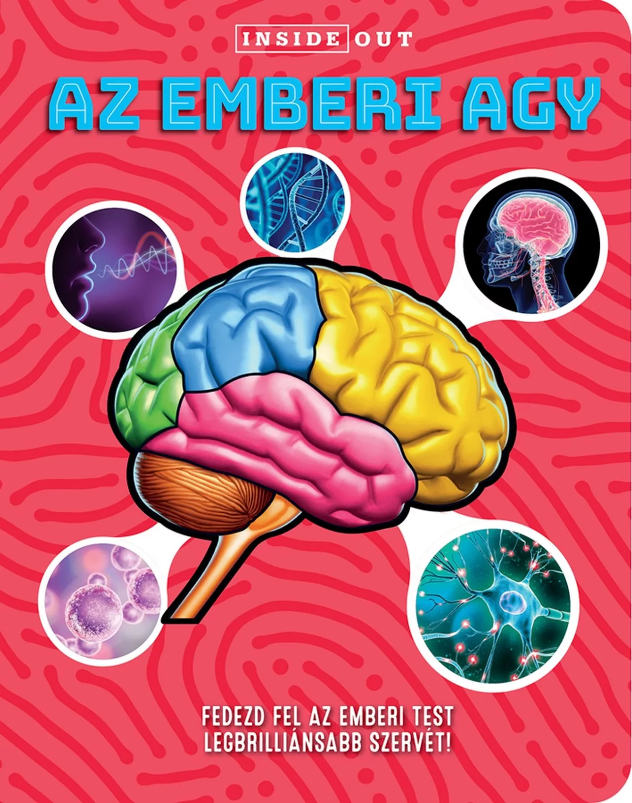 Az emberi agy - Kreativjáték.hu
